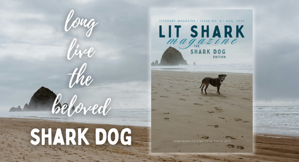 What in the World?! The Zones of the Ocean - Lit Shark